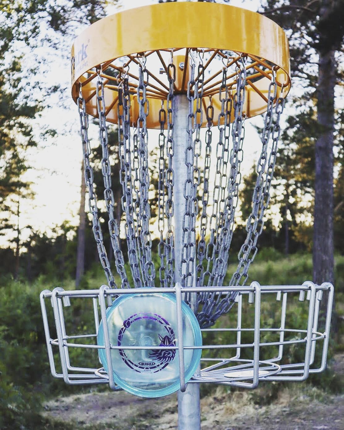 Introducing Guru Disc Golf » Infinite Discs Blog