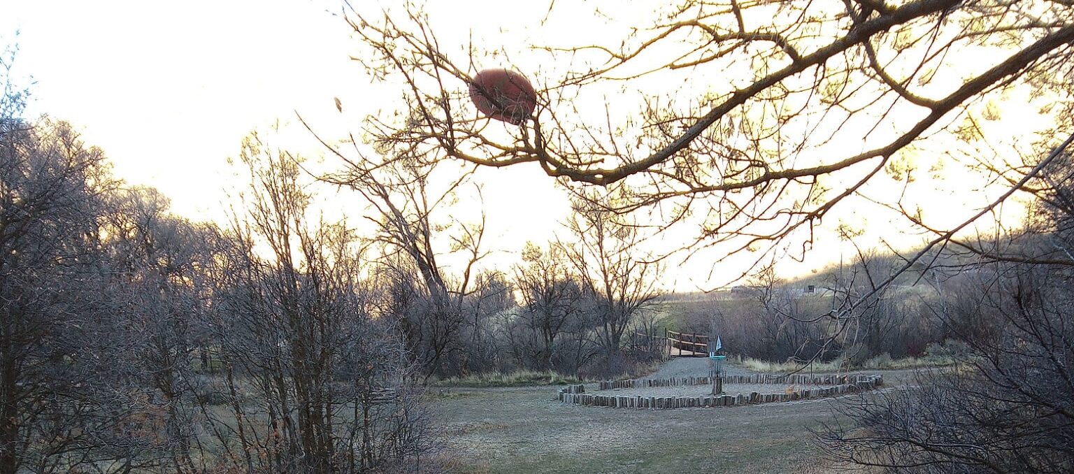 The Two-Meter Rule Explained » Infinite Discs Blog